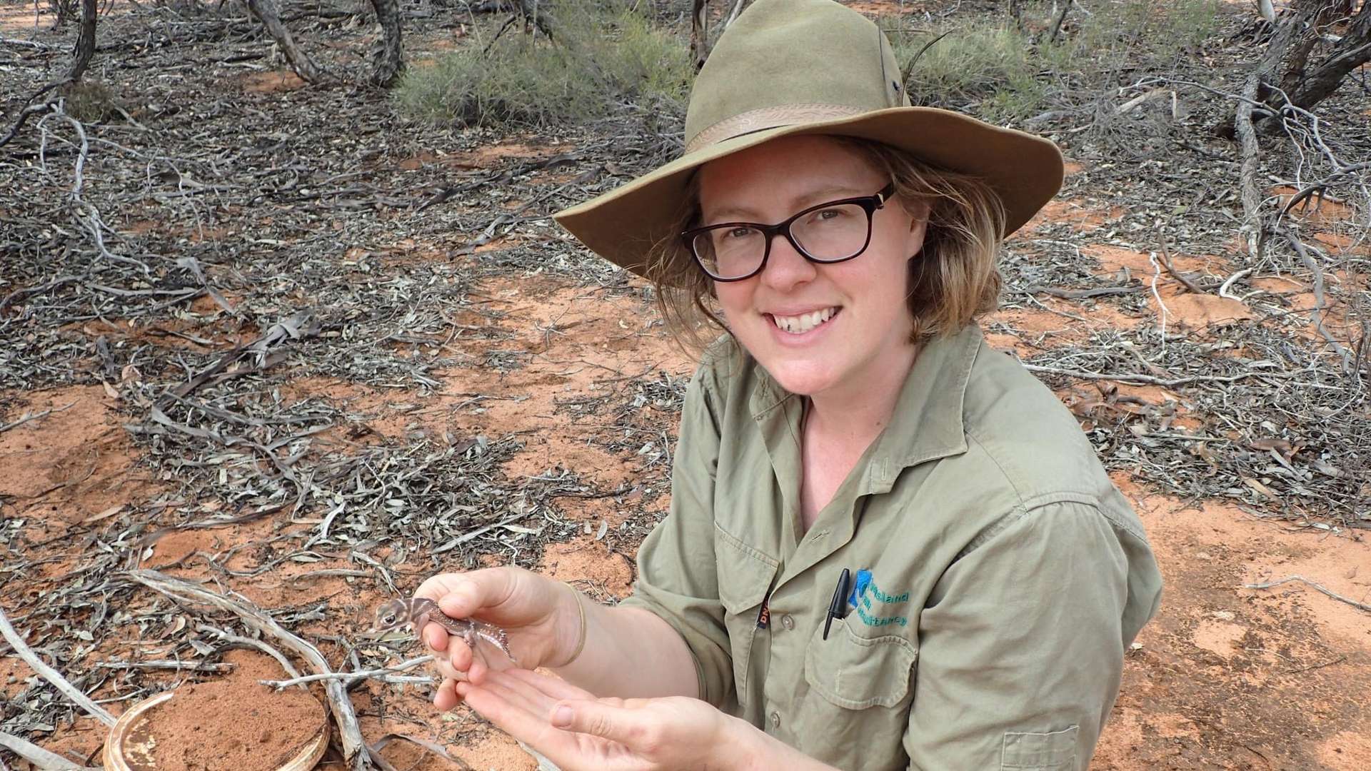 Ecologist wins prestigious ARC grant for work to restore woodlands ...